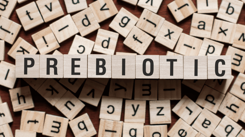 What Are Prebiotics And How Are They Different From Probiotics? - Well ...